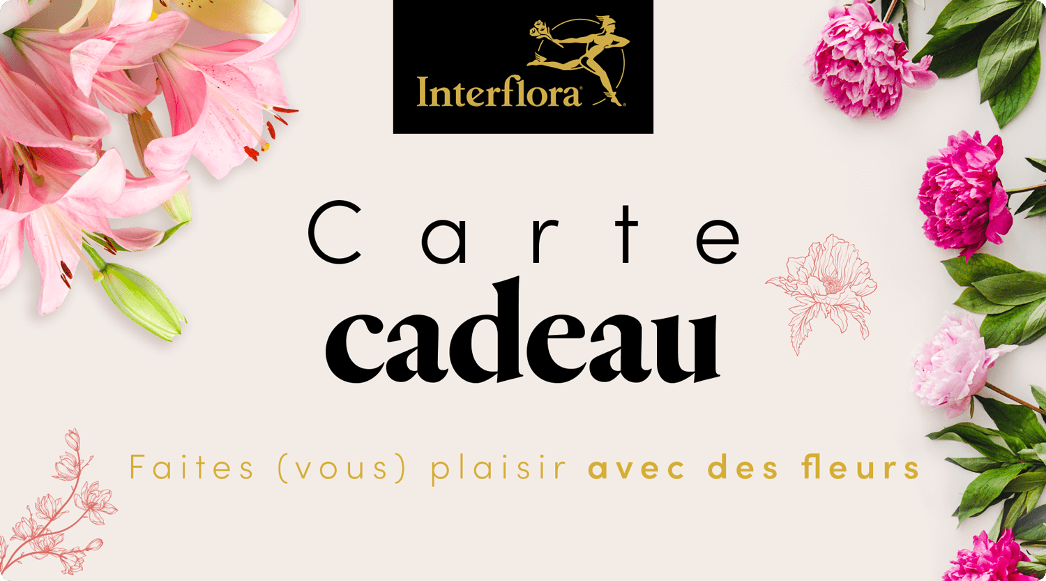 E-carte cadeau Interflora | Ma-Carte-Cadeau.com